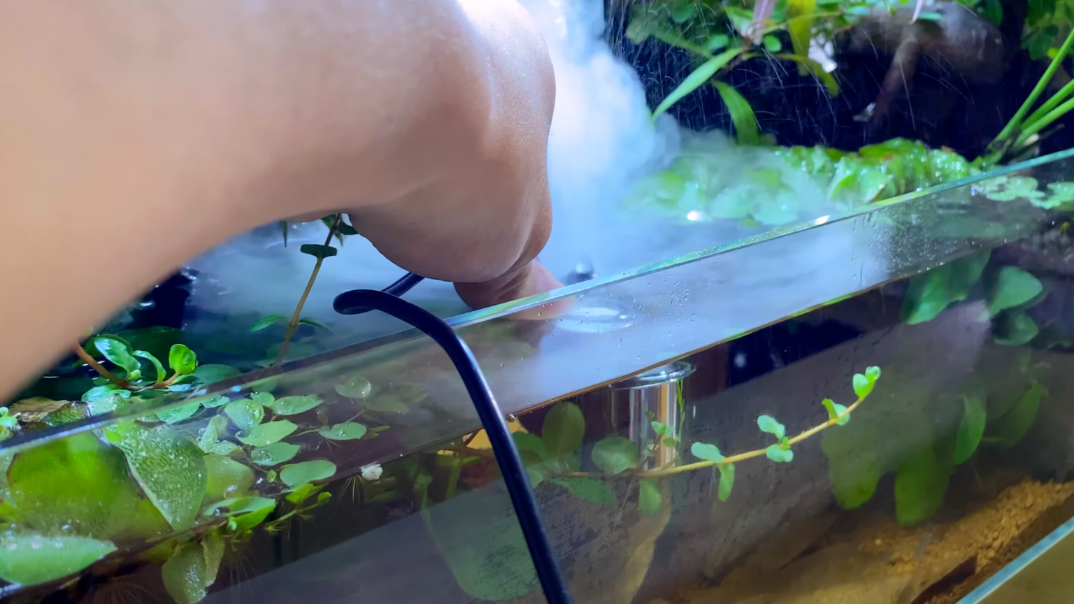 DOOA MISTFLOW REVIEW! – The Scaper's Room